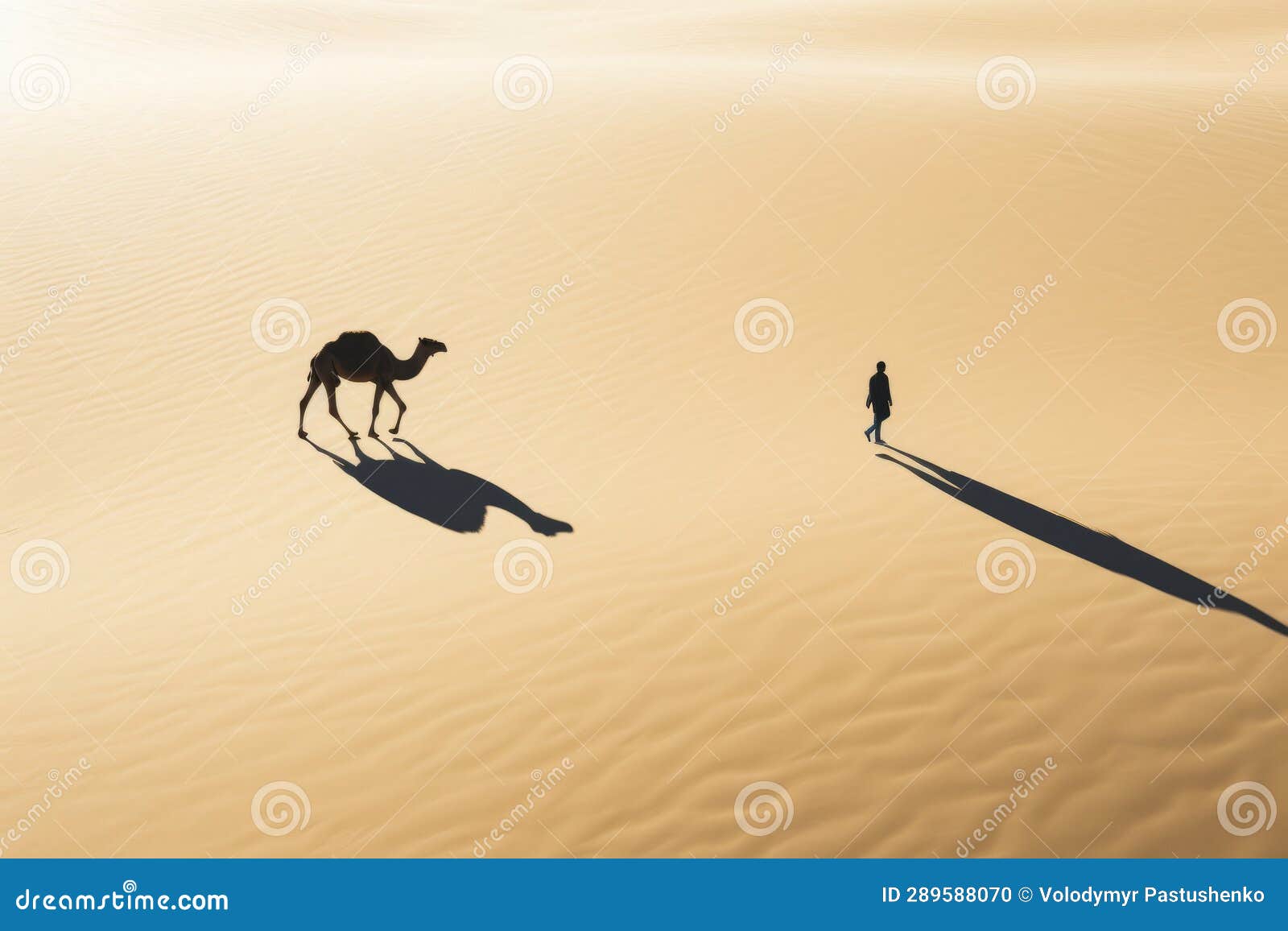 Man and Camel in the Desert with Shadow. Generative AI Stock Photo ...