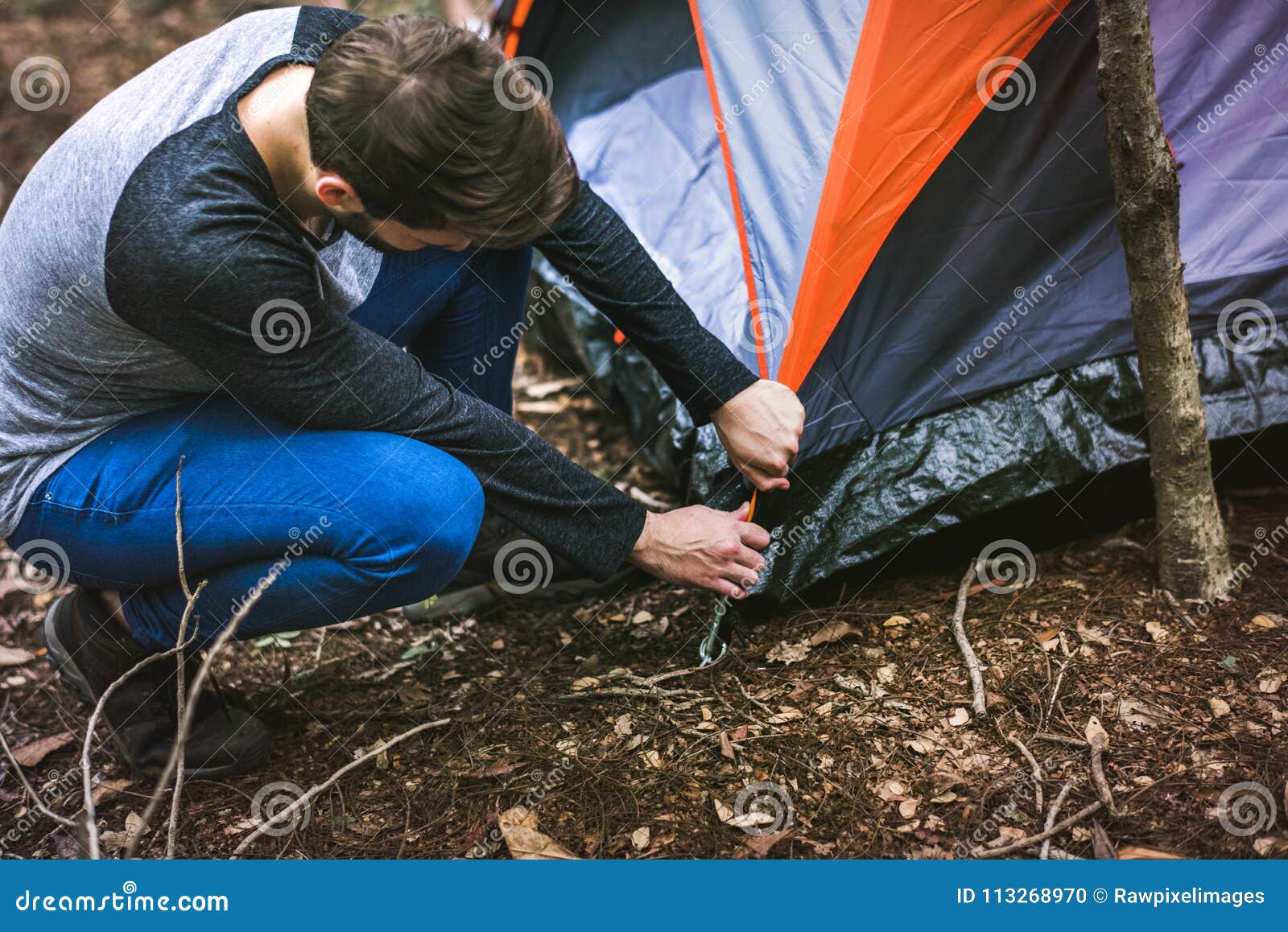 Man Camping in the Forest Together Stock Photo - Image of outdoor ...
