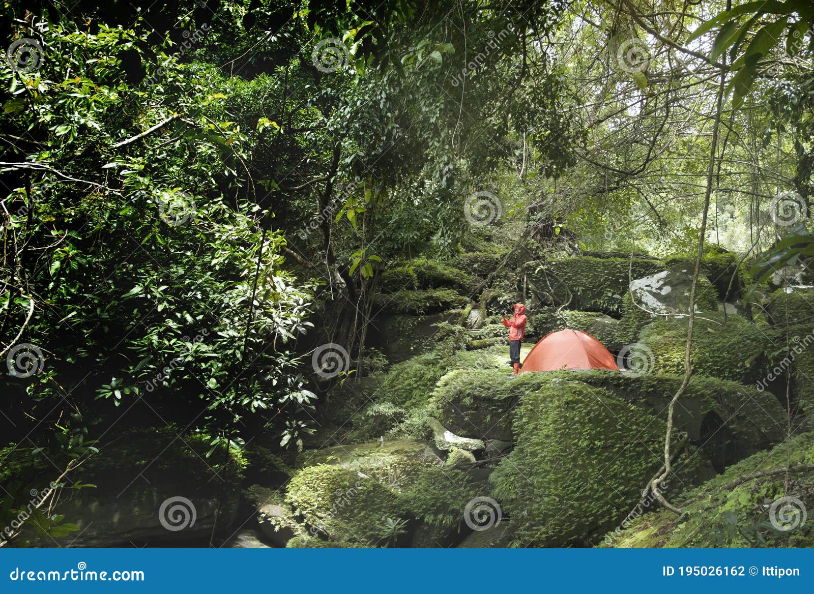 Man with camping tent stock photo. Image of outdoor - 195026162