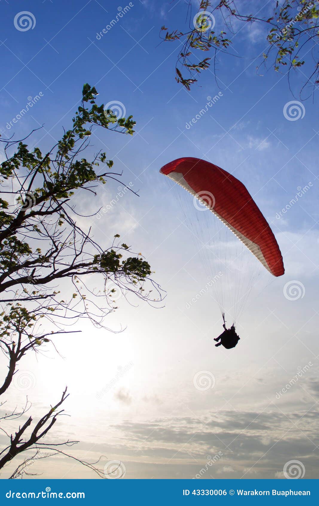 A man can fly stock photo. Image of paramotor - 43330006