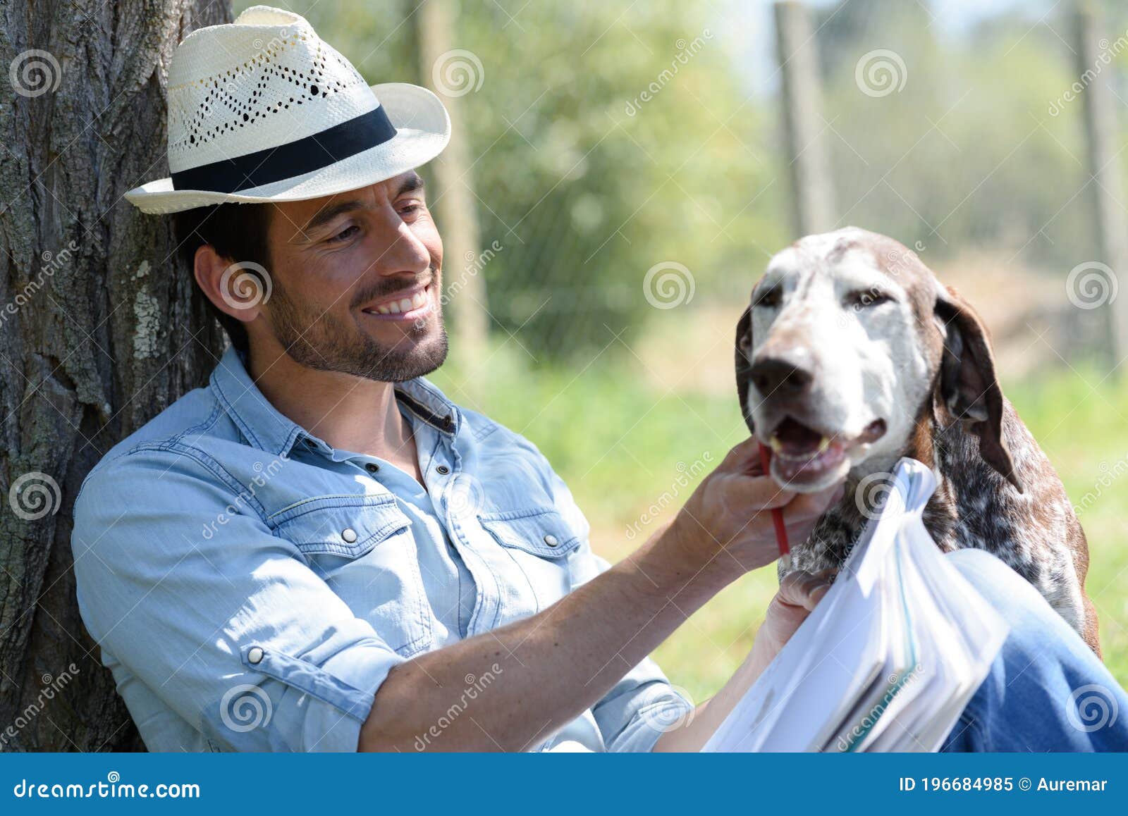 Man caressing his dog stock image. Image of obedience - 196684985