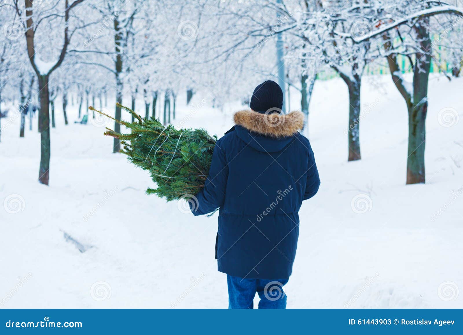 Man Carrying Christmas Tree at Park Stock Image - Image of store ...