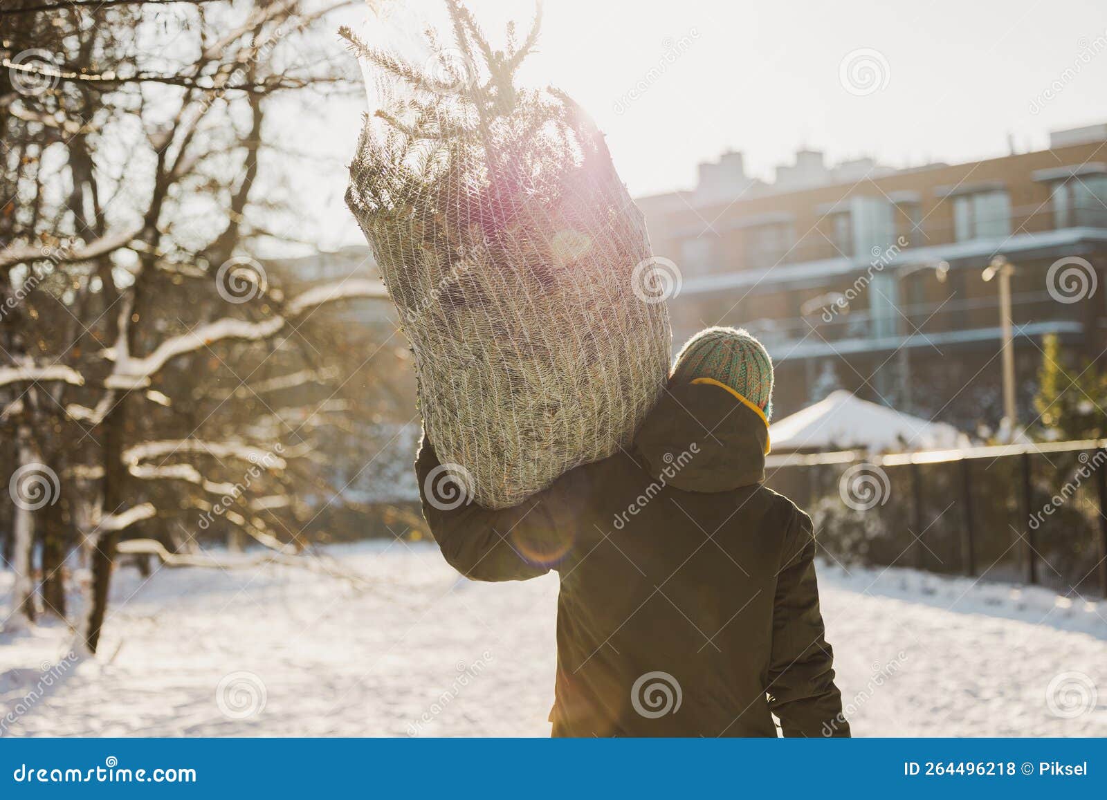 Man Carrying Christmas Tree on Shoulders Stock Photo - Image of ...