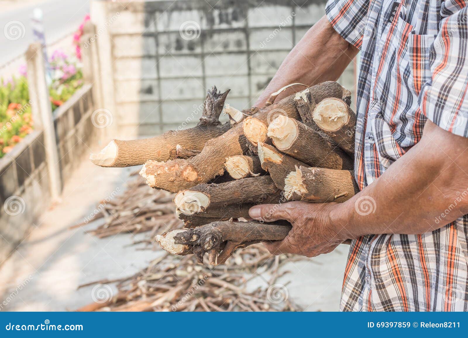Man carrying firewood. stock image. Image of travel, chopped - 69397859