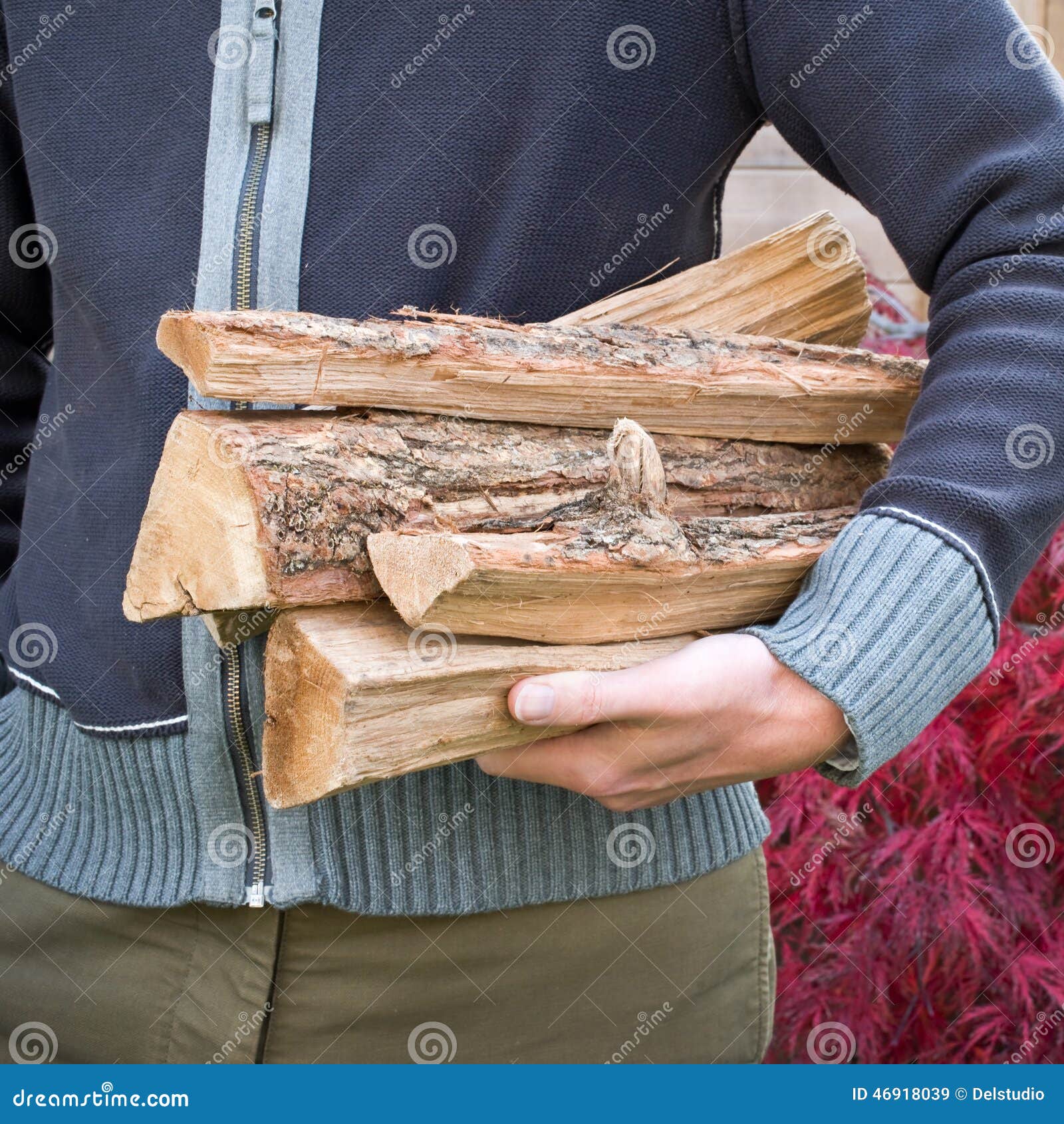 Man carrying firewood logs stock image. Image of rural - 46918039