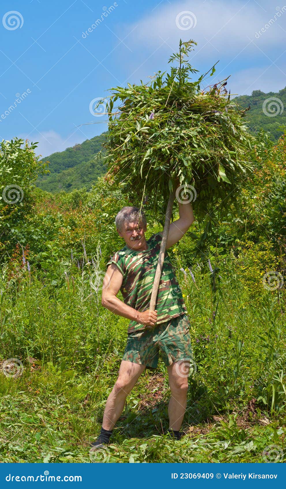 Man carrying hay 6 stock image. Image of outdoors, green - 23069409