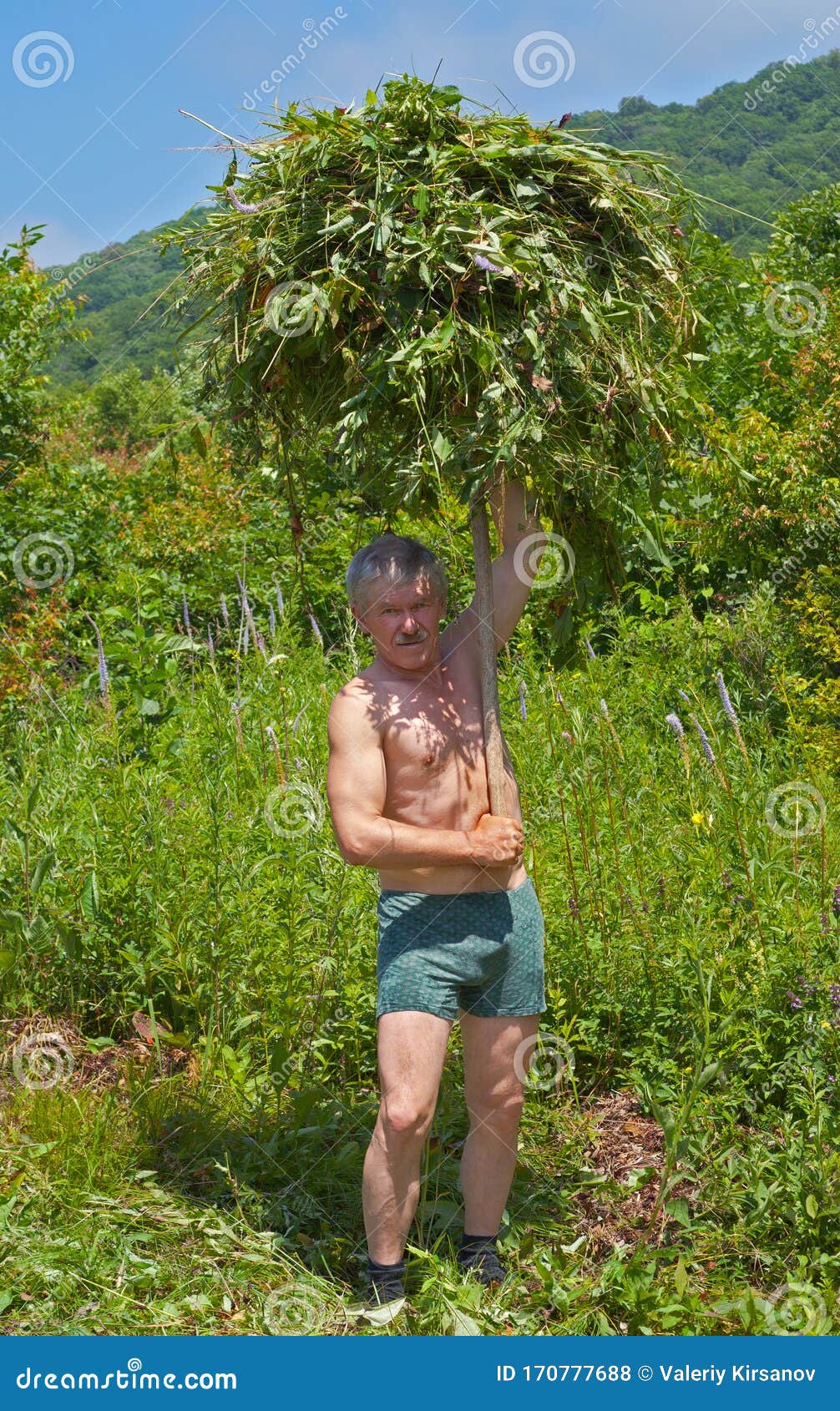 Man carrying hay 2 stock photo. Image of cloud, agricultural - 170777688