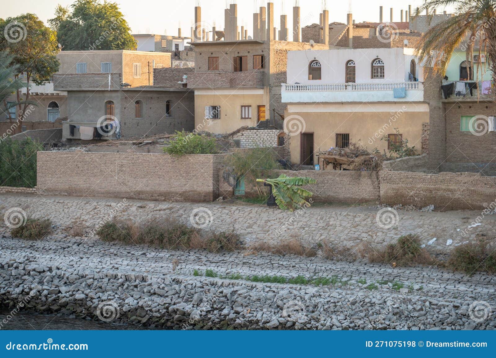 Man Carrying Leaf Foliage stock photo. Image of splendor - 271075198