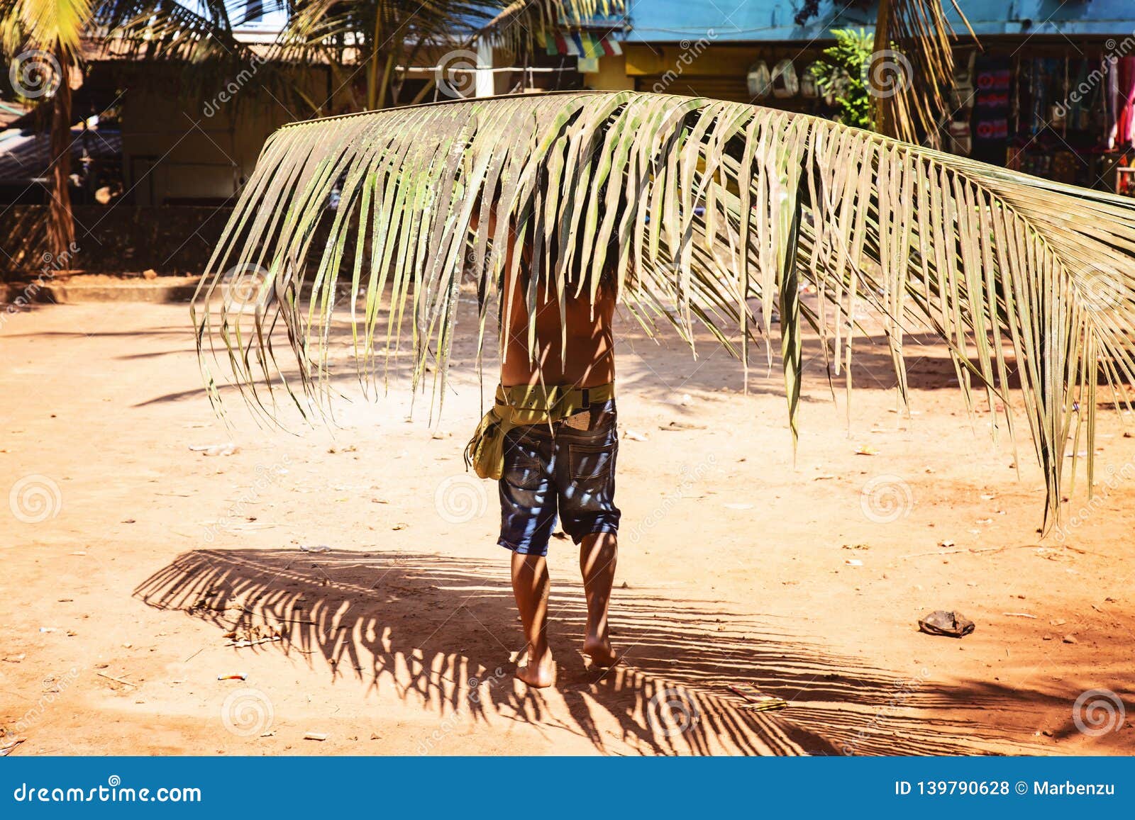 Man carrying a palm stock photo. Image of tree, native - 139790628