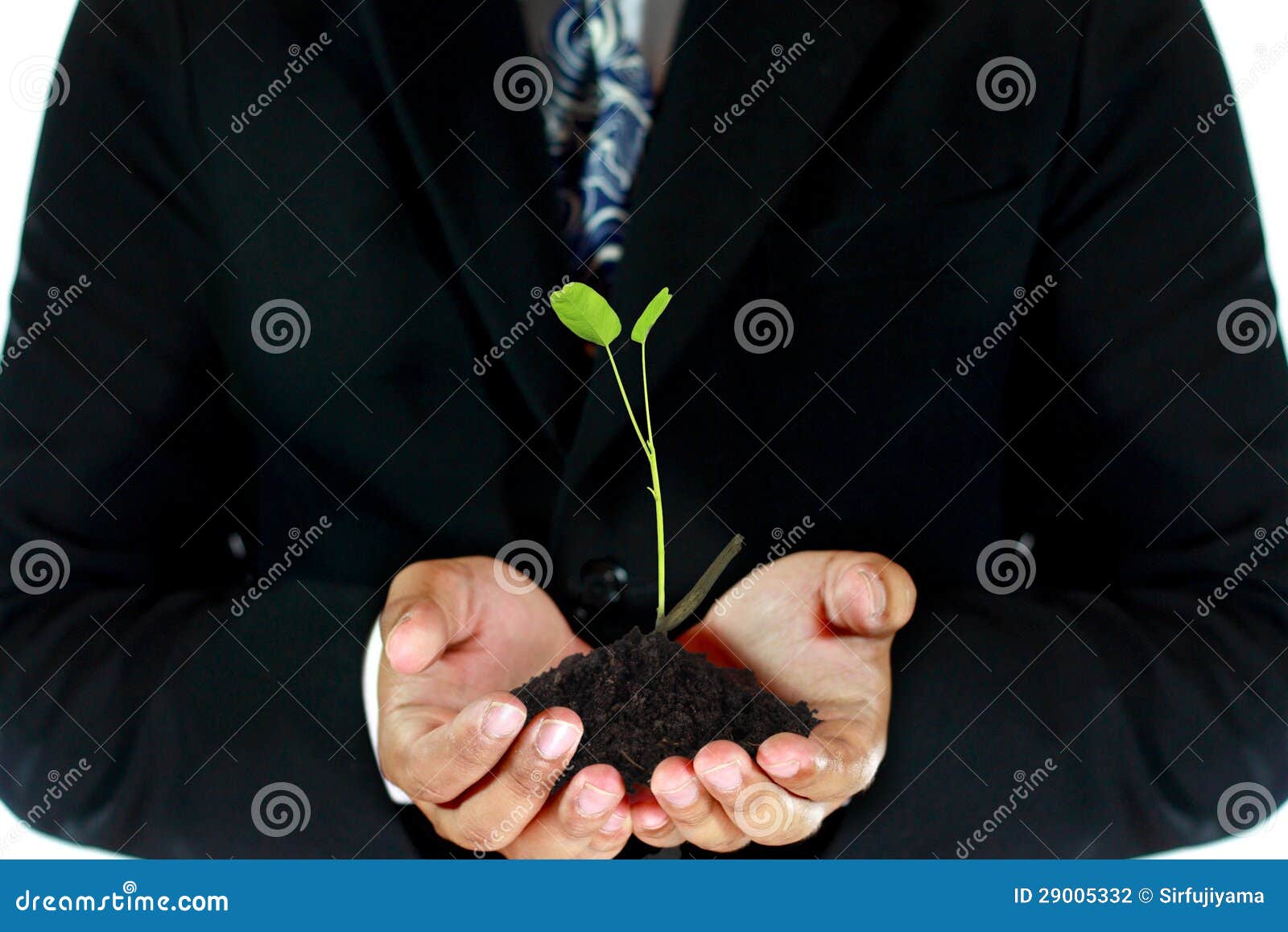 Man carrying young tree stock photo. Image of plant, concept - 29005332