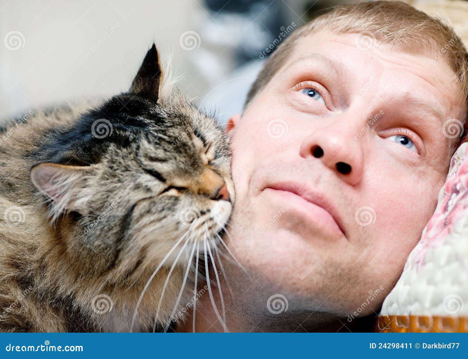 Man with cat stock image. Image of love, curiosity, striped - 24298411
