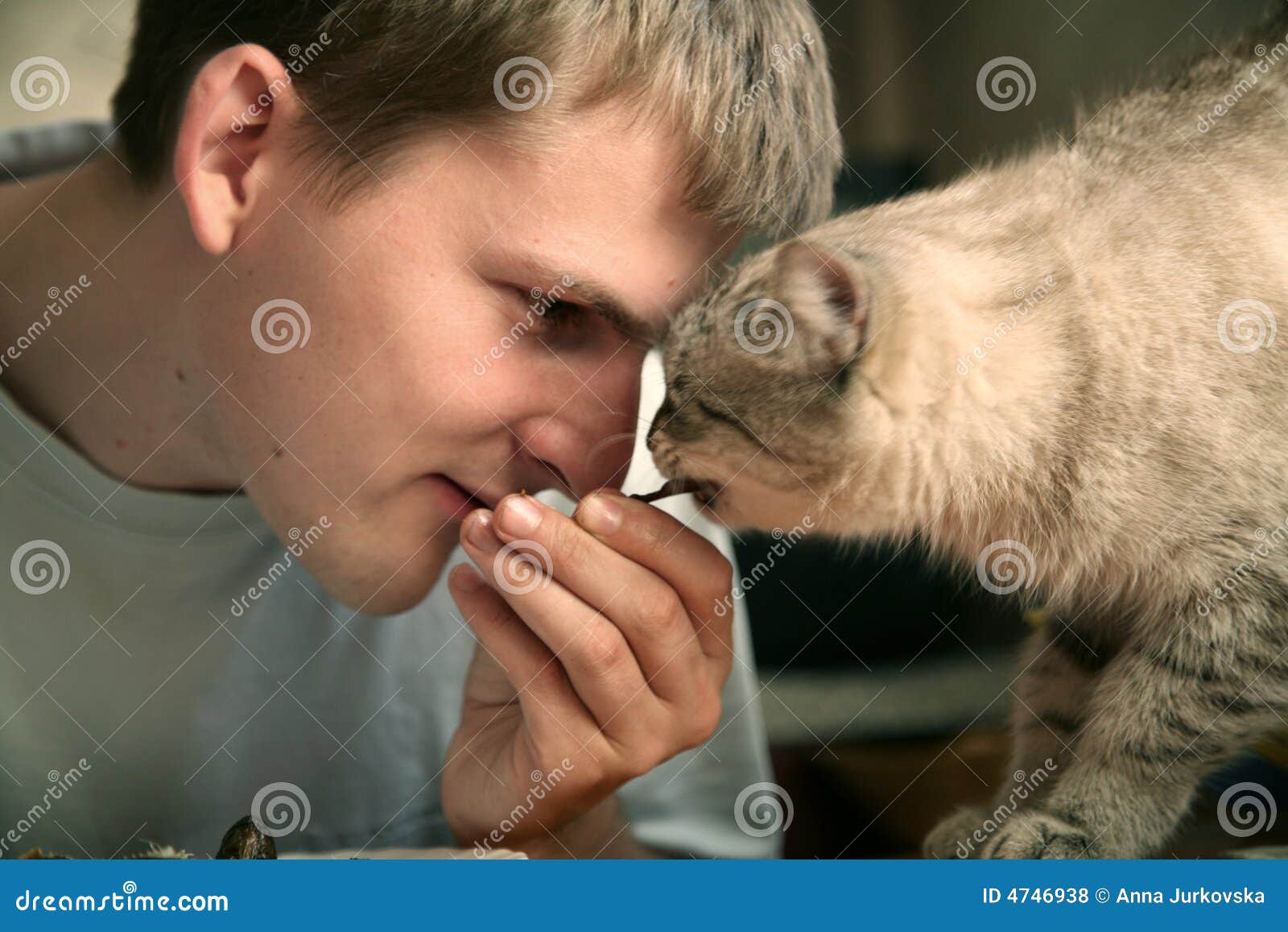 Man with cat stock photo. Image of cute, look, eyes, struggle - 4746938