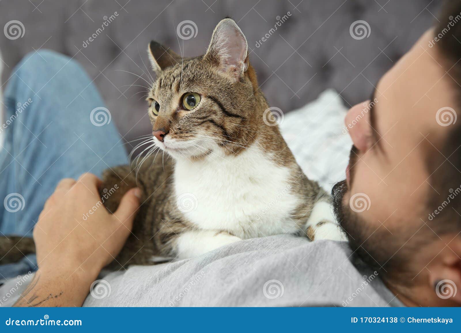 Man with Cat on Bed at Home. Friendly Pet Stock Photo - Image of ...