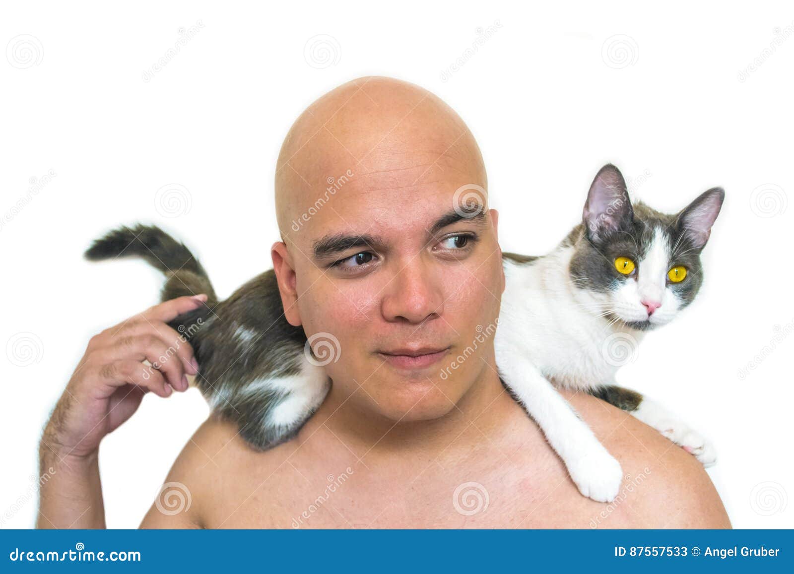 A Man with a Cat on His Shoulders. Stock Image - Image of person, kitty ...