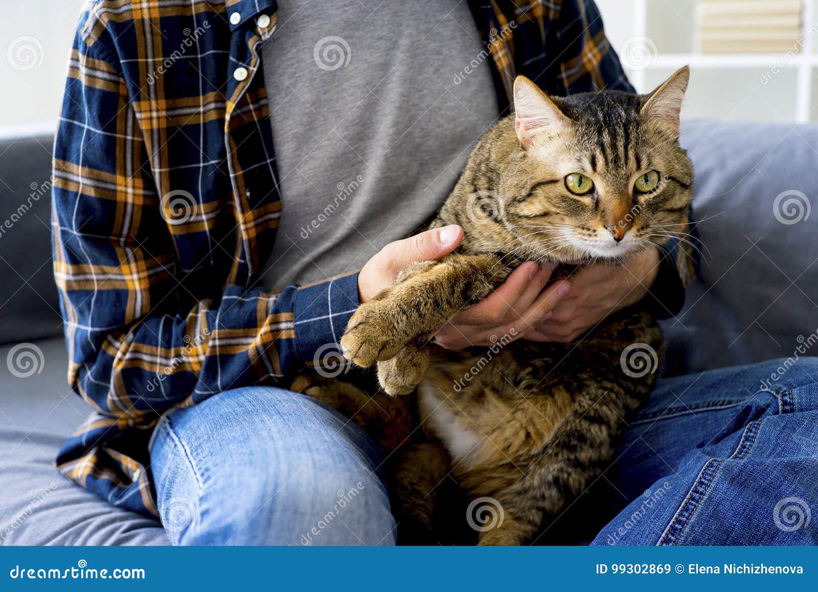 Man with a cat stock image. Image of home, people, adult - 99302869
