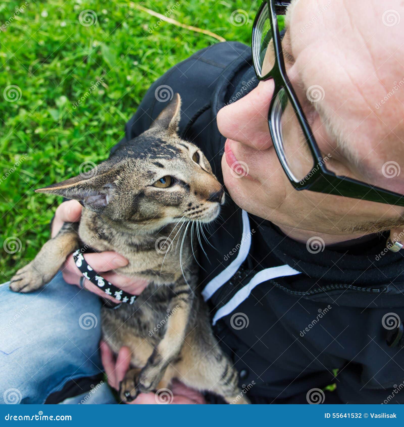 Man with the cat stock photo. Image of angle, leash, breed - 55641532