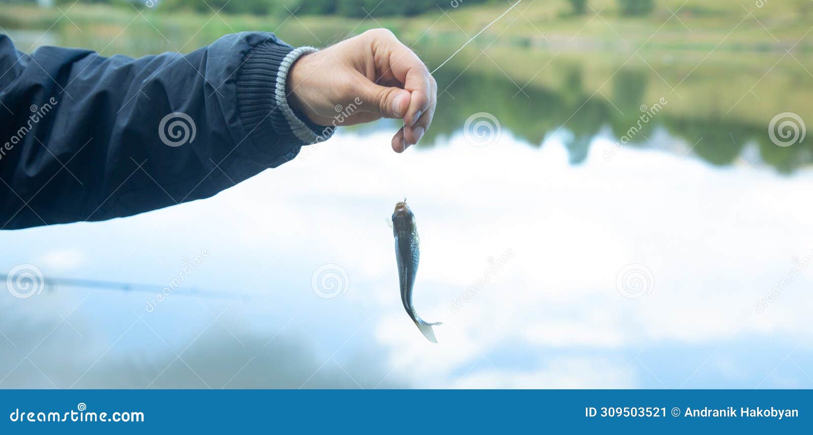 Man Catching and Showing Small Fish in the Lake Stock Image - Image of ...