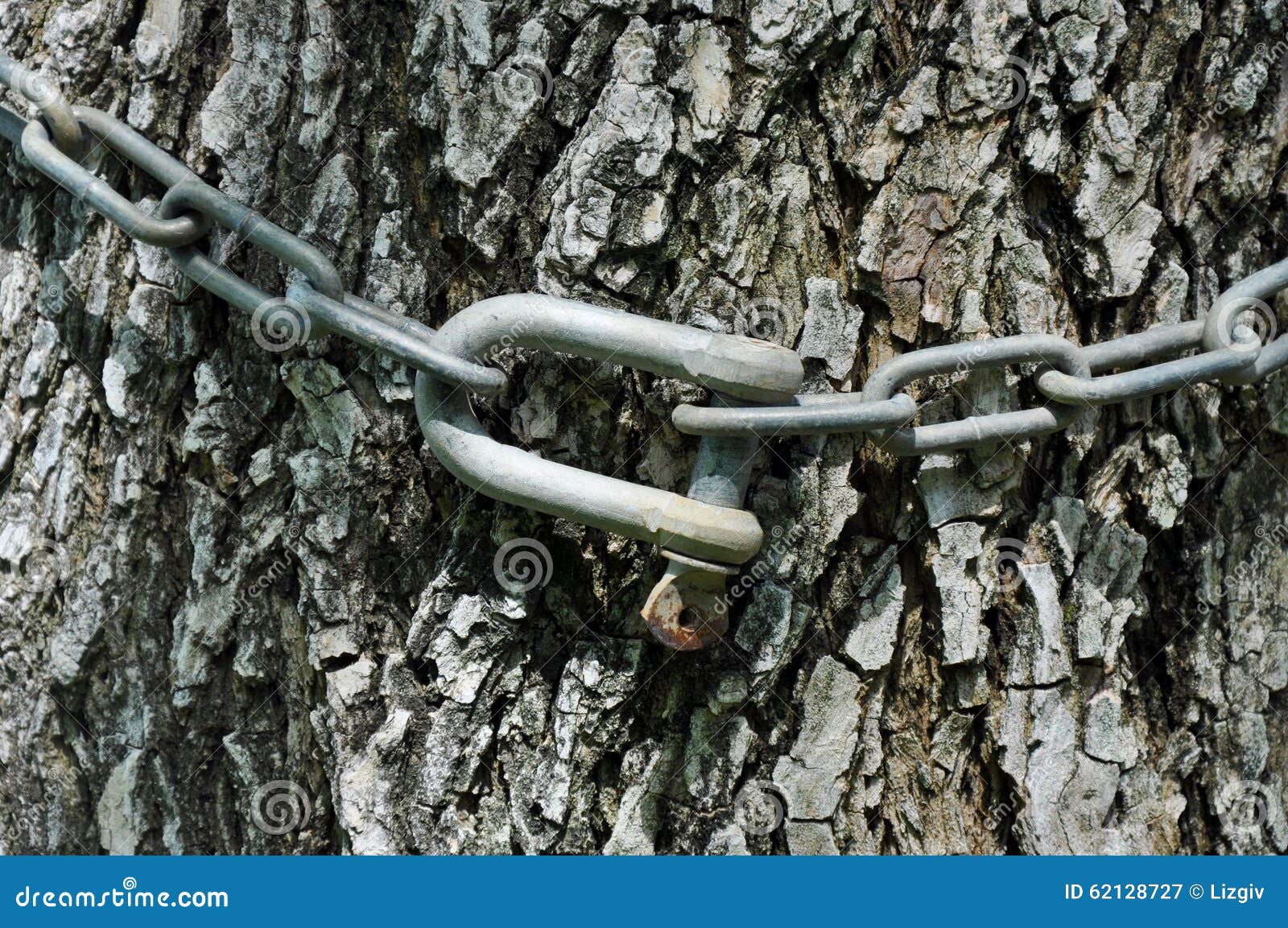 Man: Chaining Nature stock image. Image of chaining, abstract - 62128727