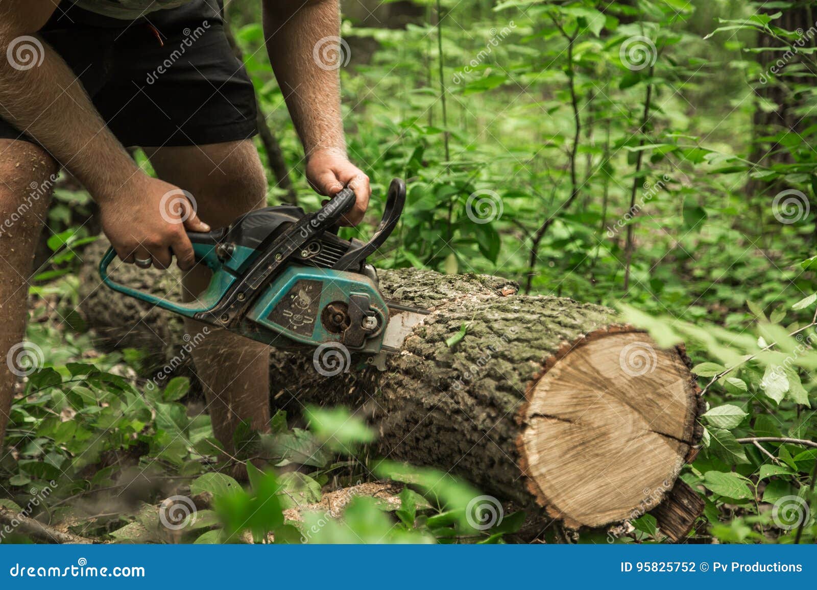A Man with a Chainsaw Cuts the Tree Stock Photo - Image of plant ...