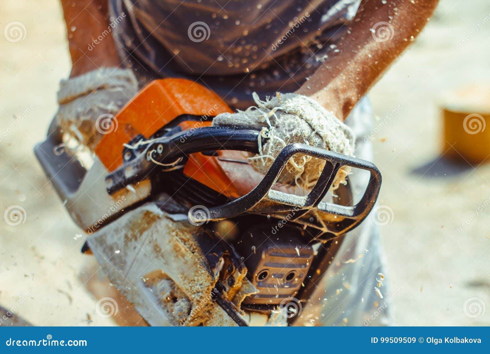 Worker Sawing a Chainsaw Tree Stock Image - Image of blade, occupation ...