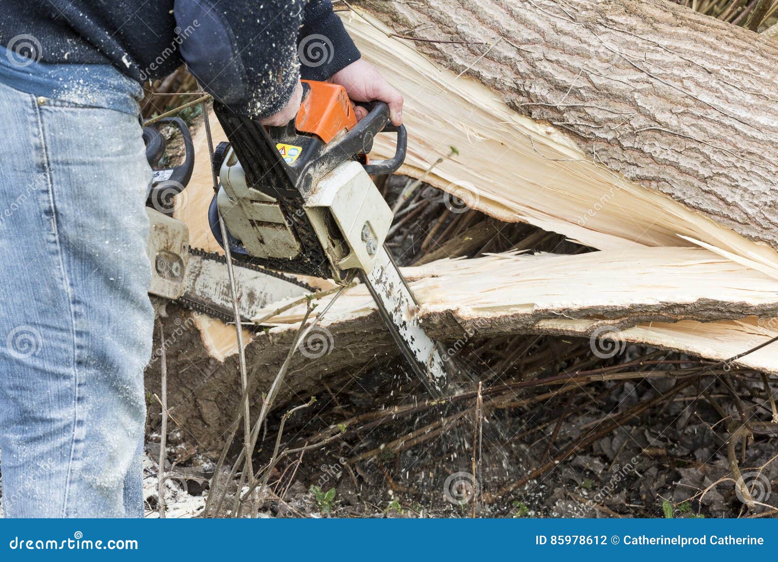 Man with Chainsaw Cutting the Tree Stock Photo - Image of outdoors ...