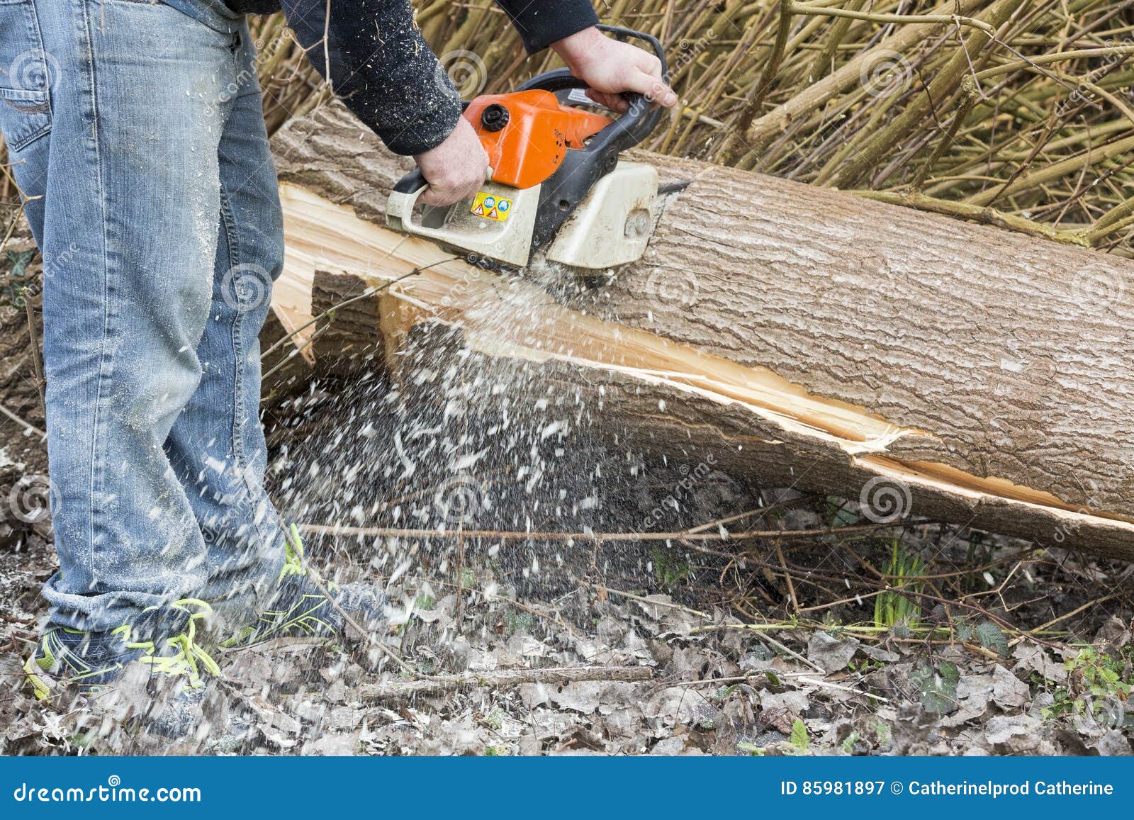 Man with Chainsaw Cutting the Tree Stock Image - Image of cutting ...