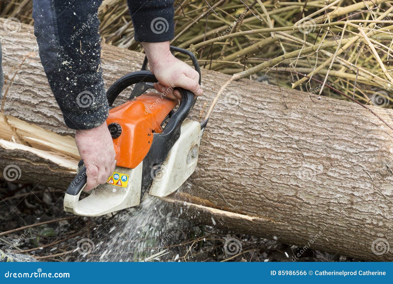 Man with Chainsaw Cutting the Tree Stock Photo - Image of firewood ...