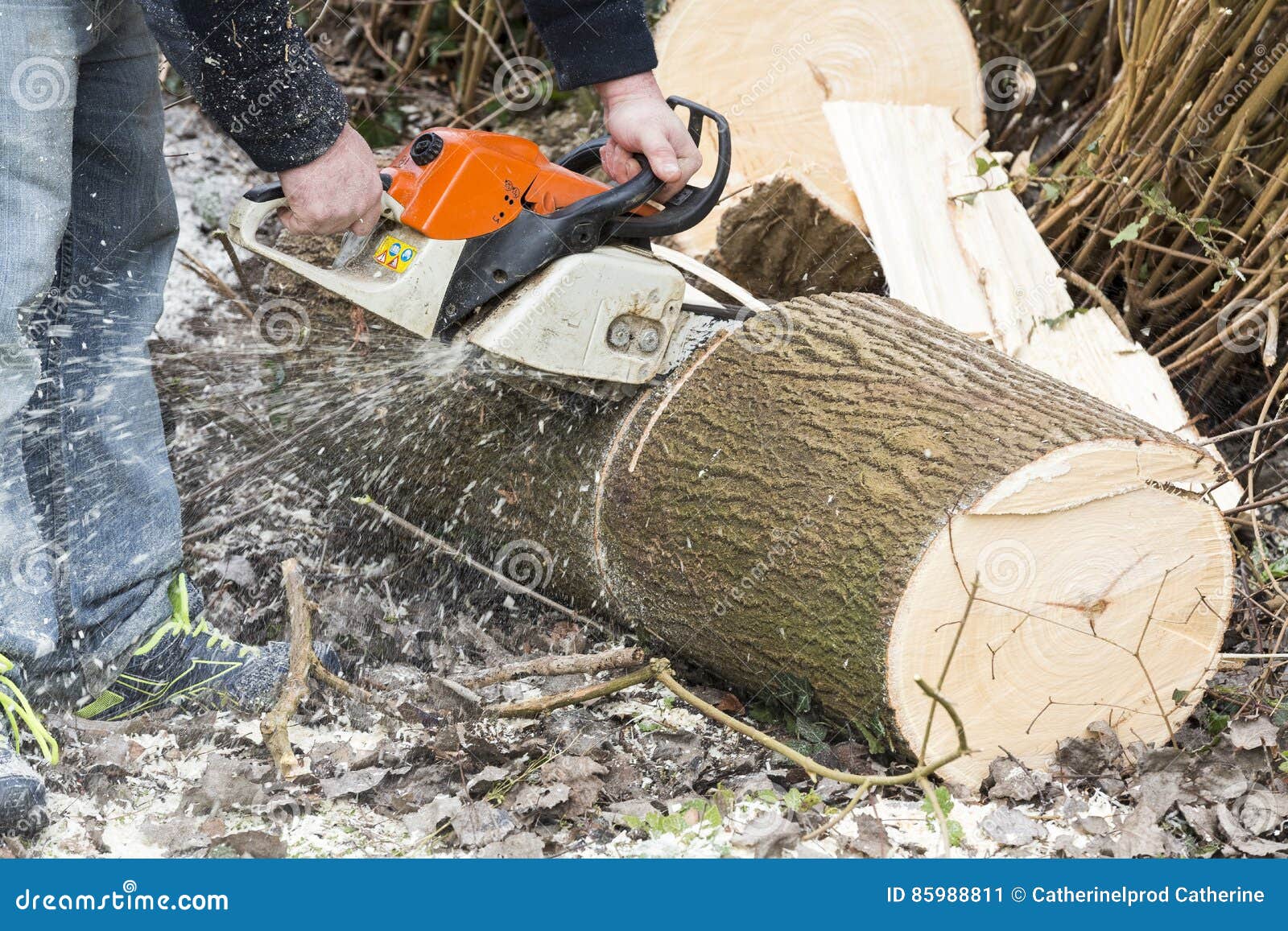Man with Chainsaw Cutting the Tree Stock Image - Image of machine ...