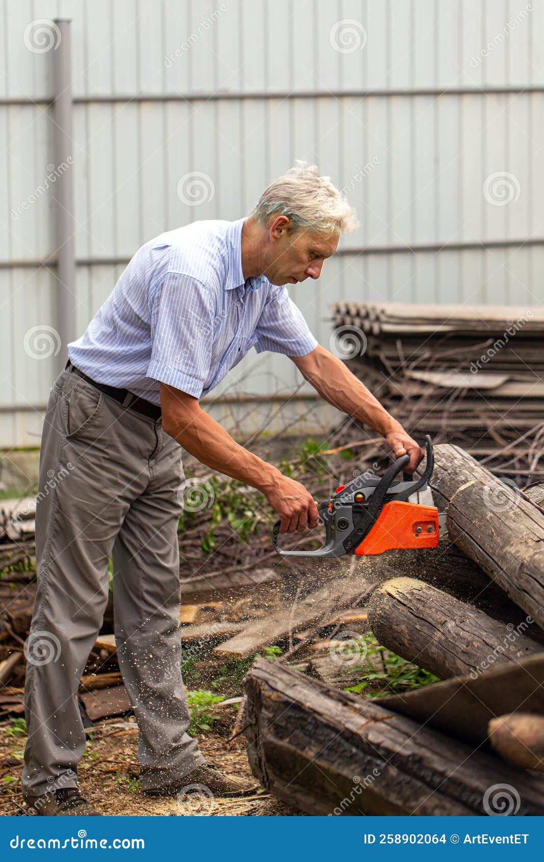 Man with Chainsaw Cutting the Tree Stock Photo - Image of chainsaw ...