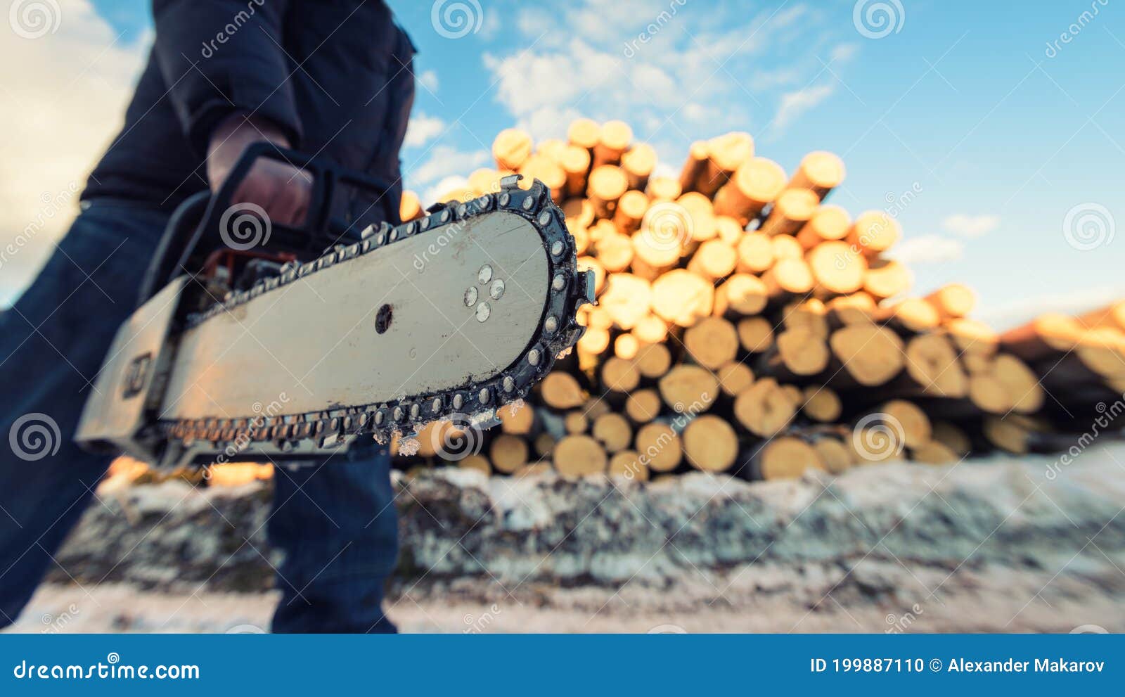 Man with a Chainsaw at Logging Stock Photo - Image of equipment, tool ...