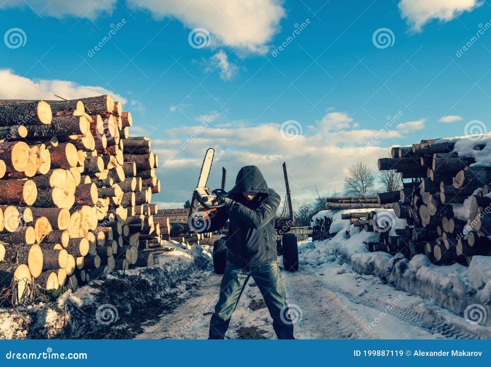 Man with a Chainsaw at Logging Stock Image - Image of industry, lumber ...