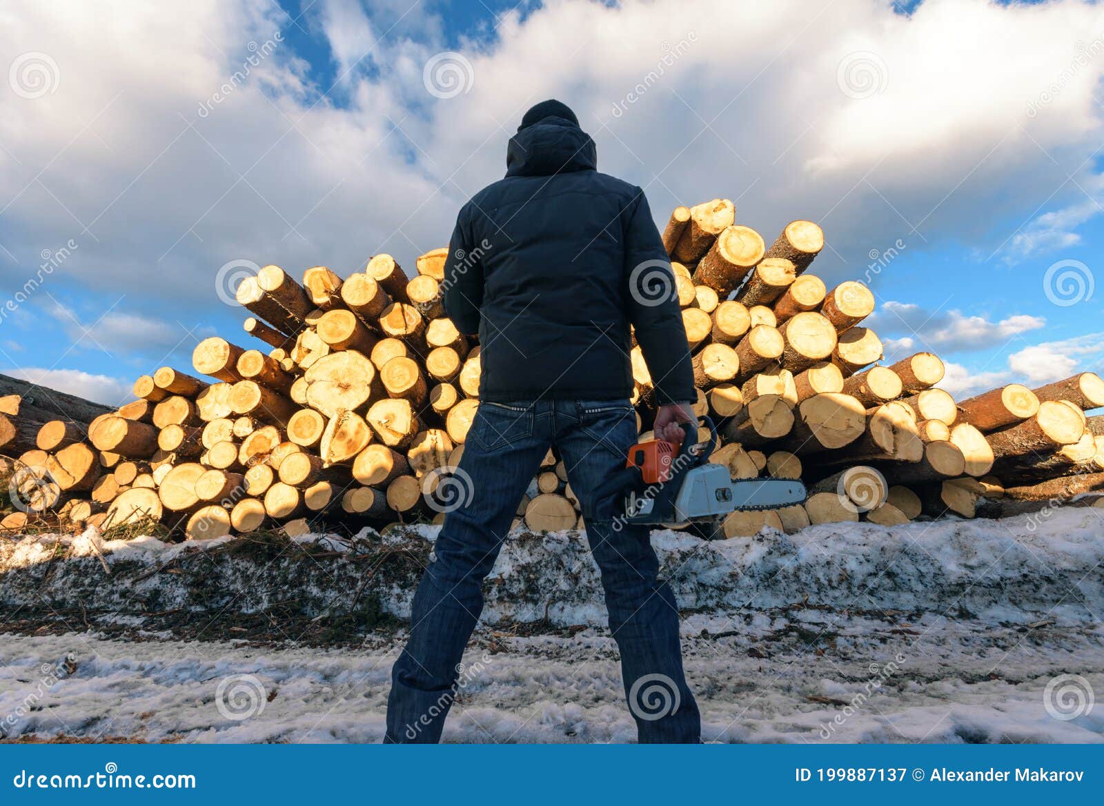 Man with a Chainsaw at Logging Stock Image - Image of sunset, work ...
