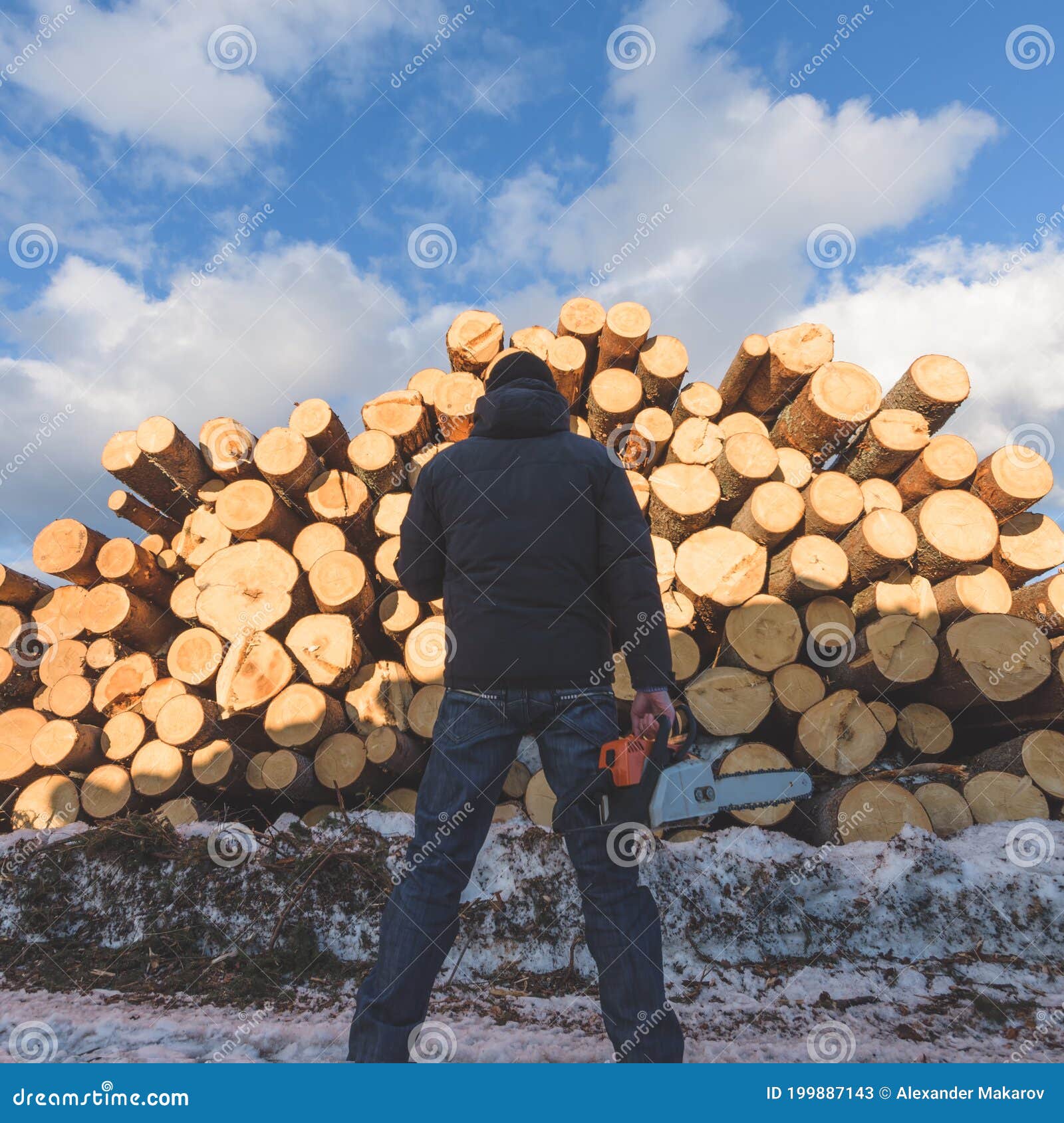 Man with a Chainsaw at Logging Stock Image - Image of action, chain ...