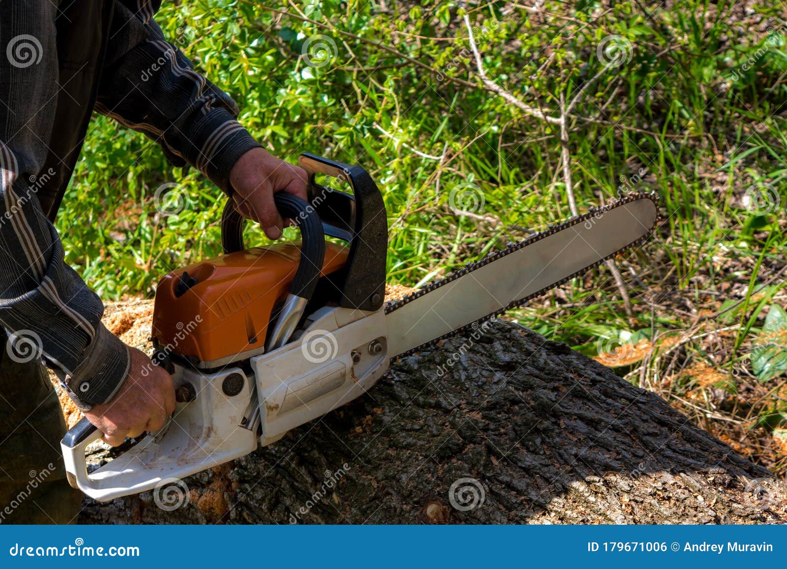Man with a chainsaw stock photo. Image of chainsaw, wood - 179671006
