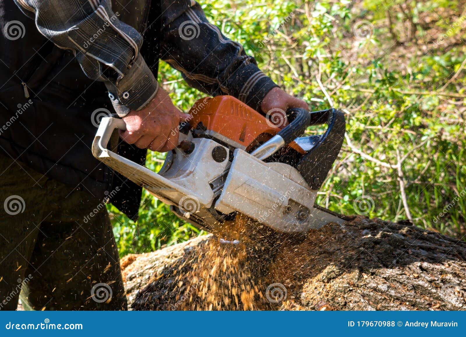 Man with a chainsaw stock photo. Image of forest, industrial - 179670988