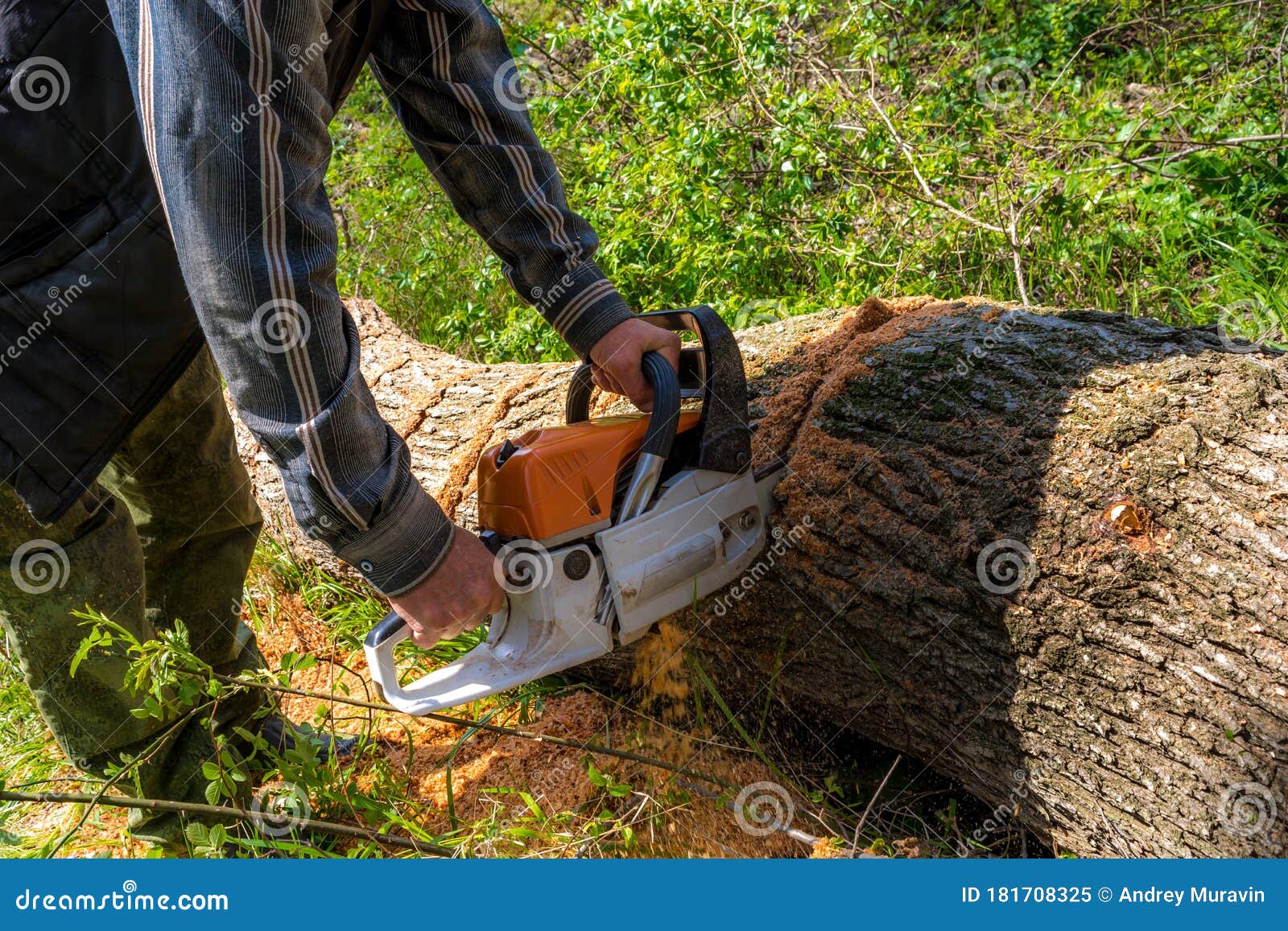 Man with a chainsaw stock image. Image of work, equipment - 181708325