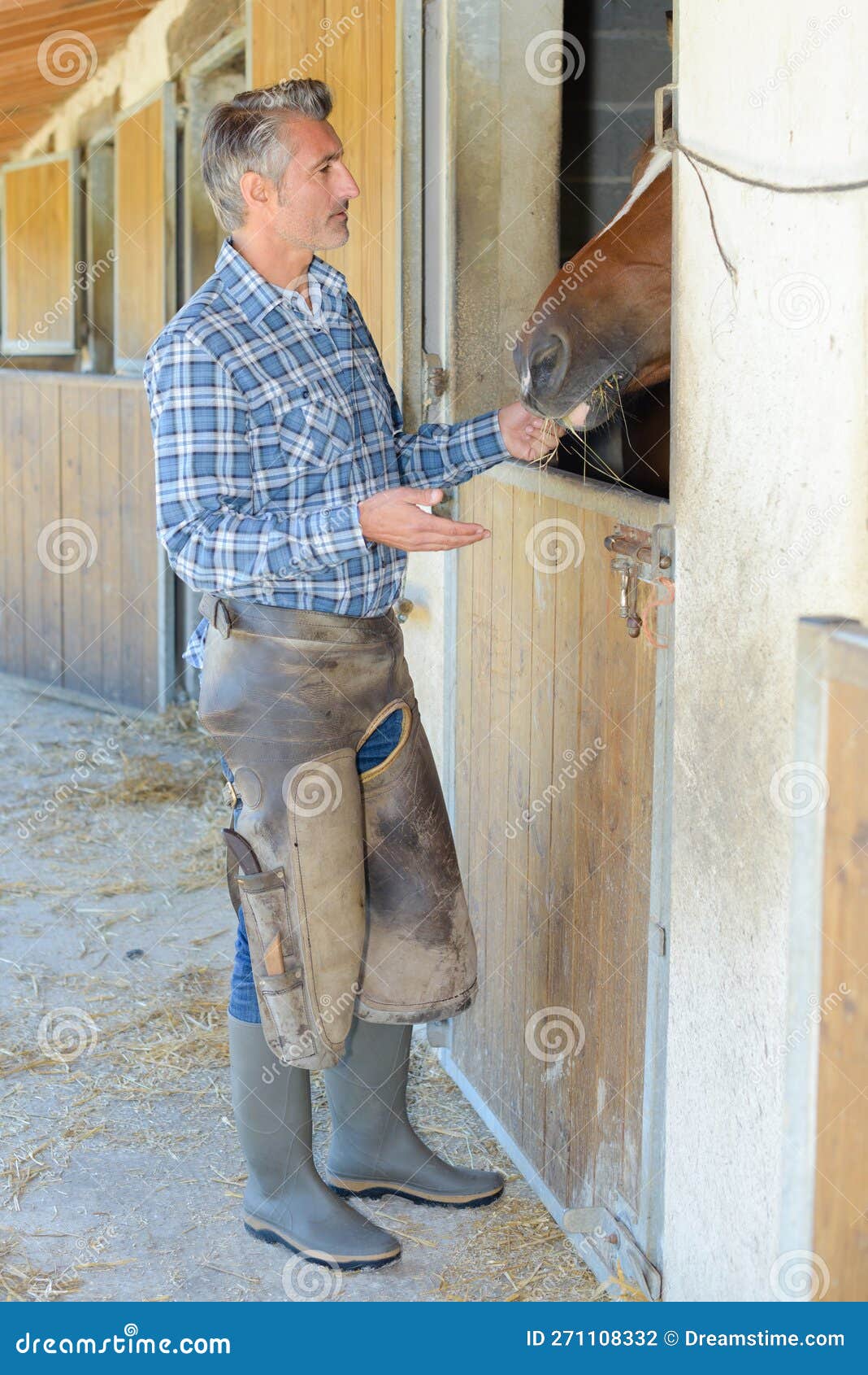 Man in chaps with horse stock photo. Image of country - 271108332