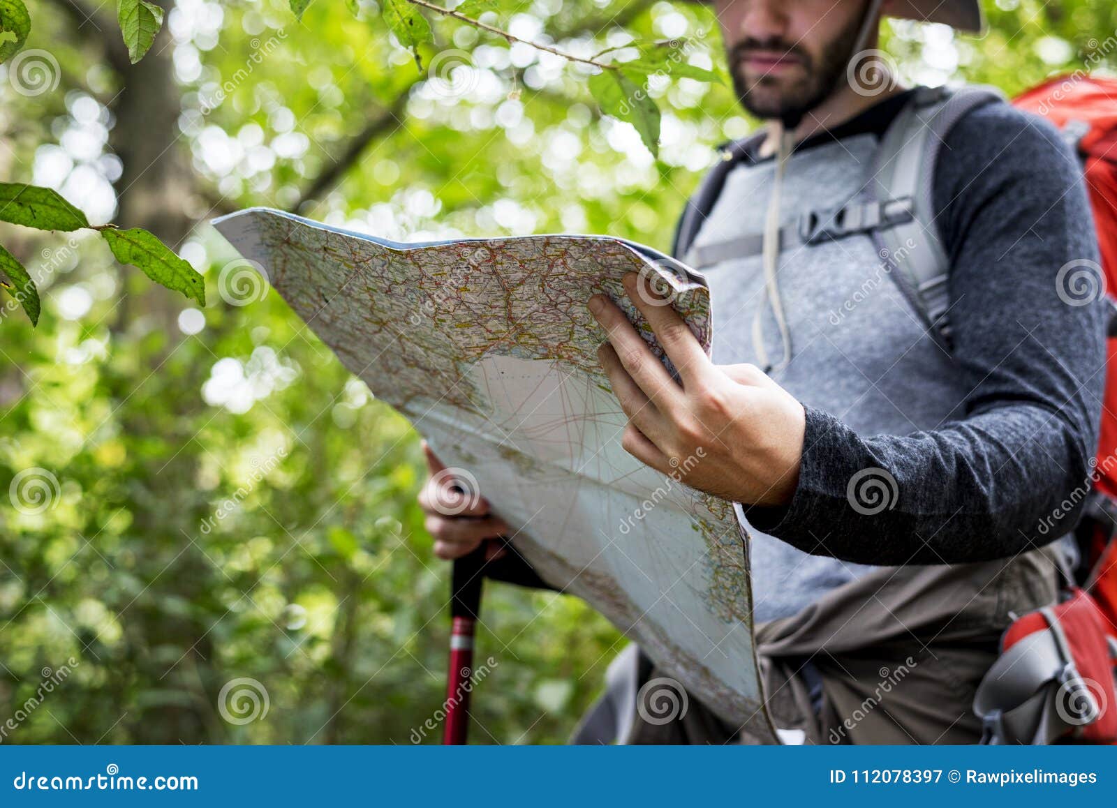 Man Checking Map in the Forest Stock Image - Image of leisure, forest ...