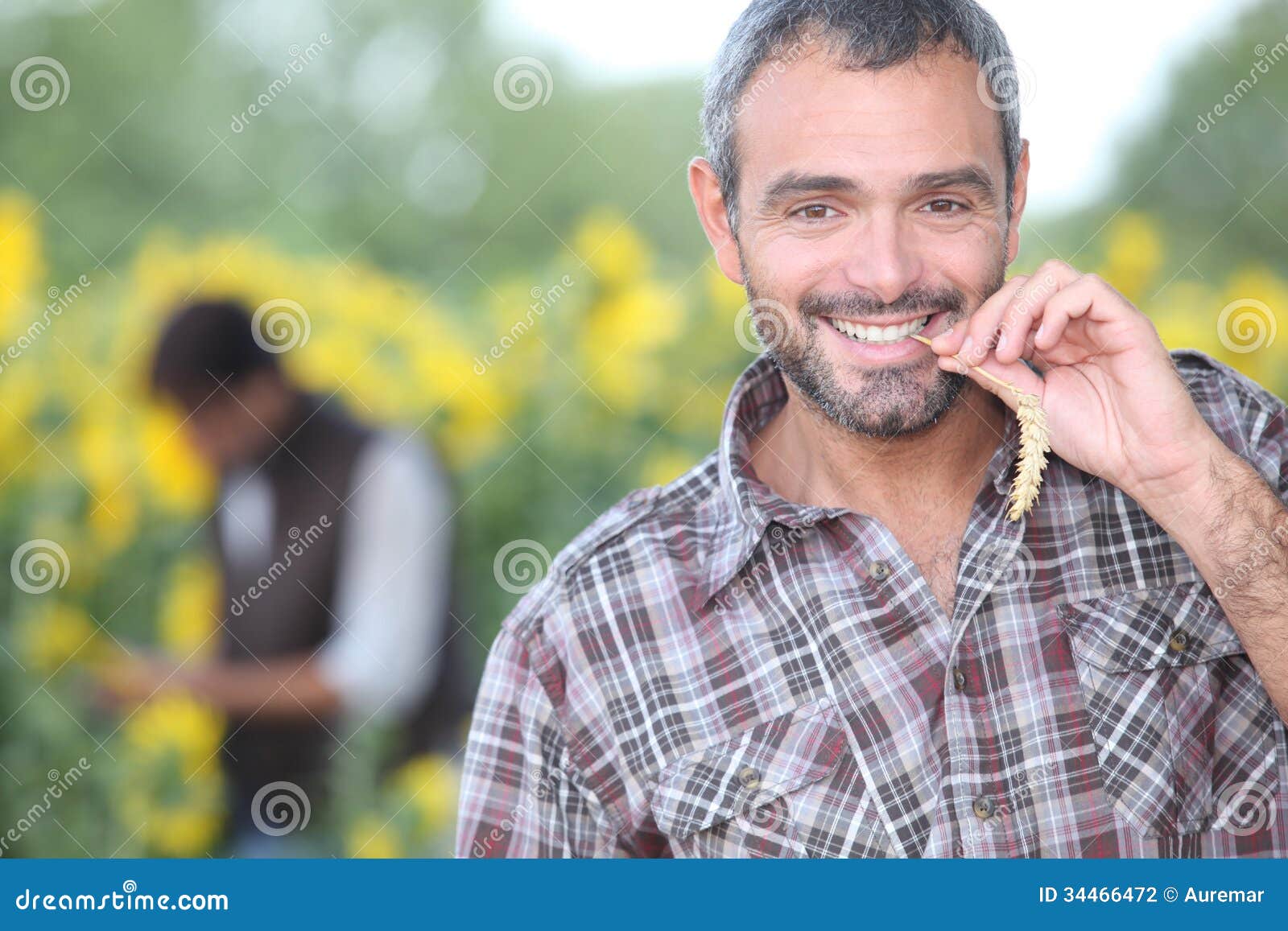 Man chewing on corn stock photo. Image of outdoors, chewing - 34466472