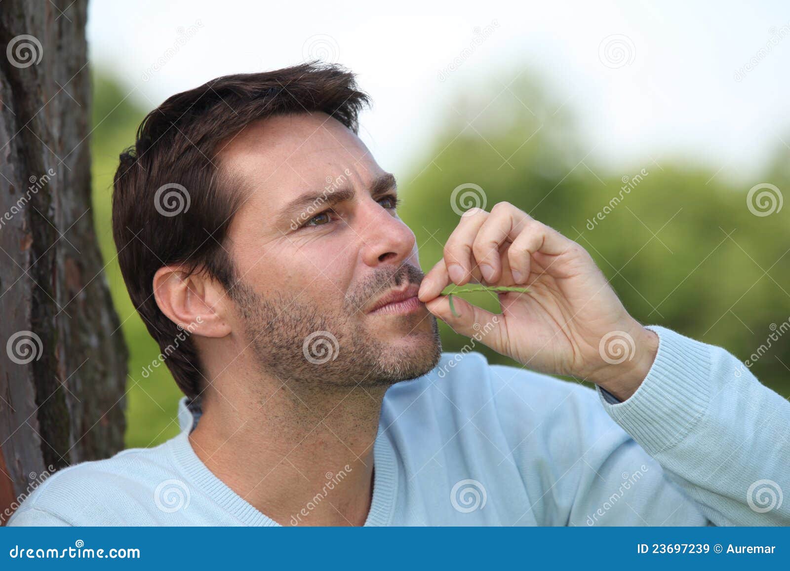 Man chewing ongrass stock image. Image of chewing, brown - 23697239