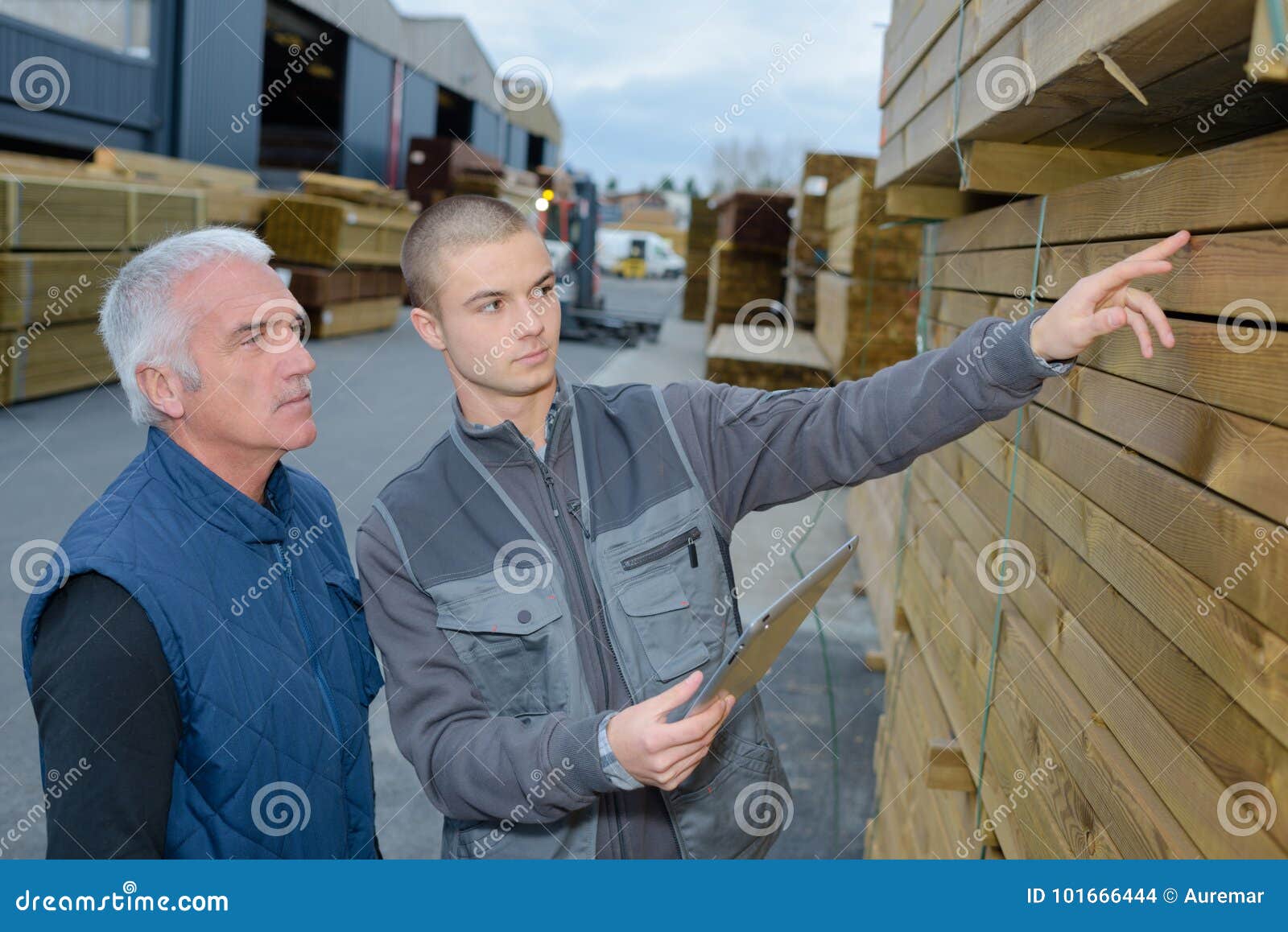 Man Choosing Wood in Diy Store Stock Photo - Image of home, tool: 101666444