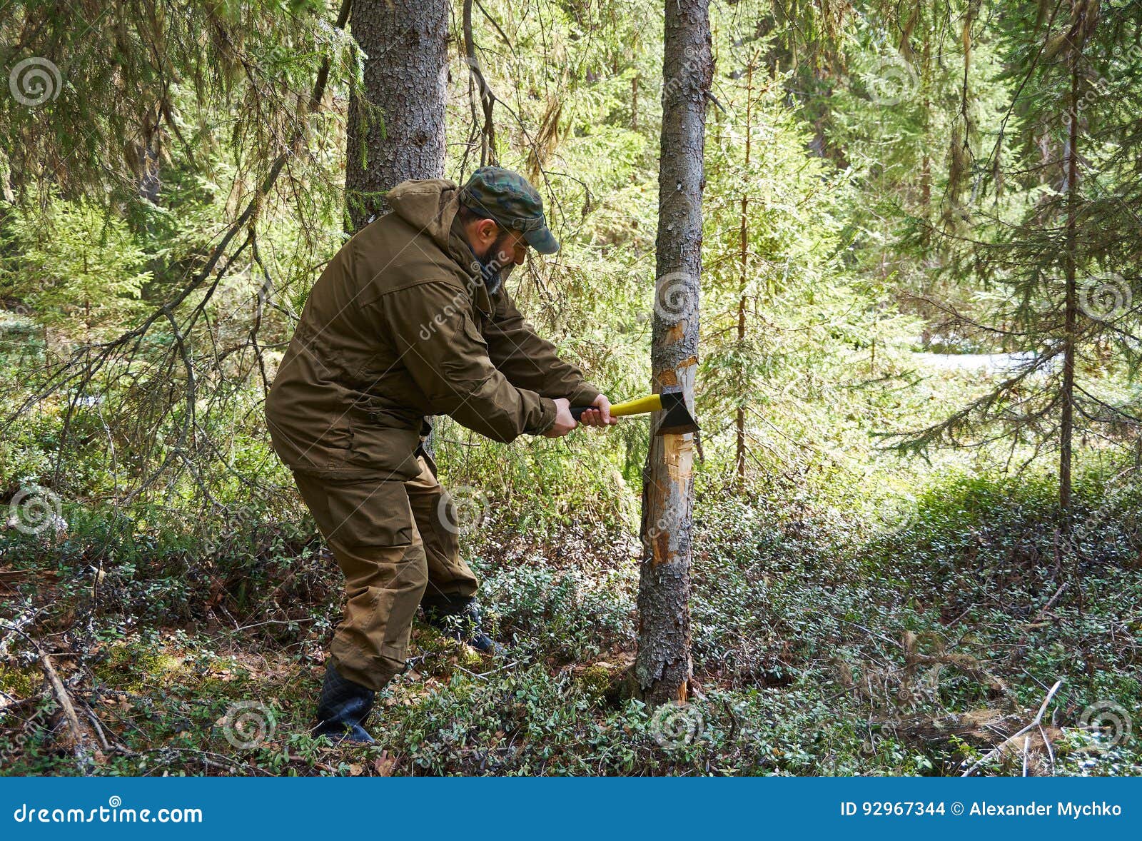 Man chopping wood stock photo. Image of lumberjacktrees - 92967344