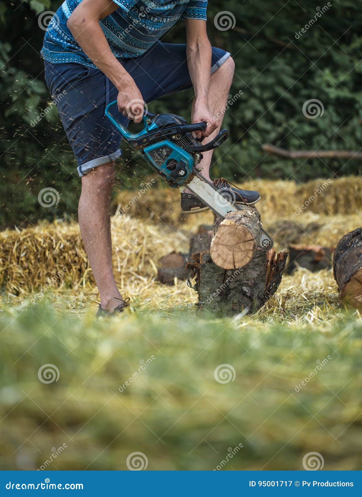 Man Chopping Wood with a Chainsaw Stock Image - Image of scaleofwood ...