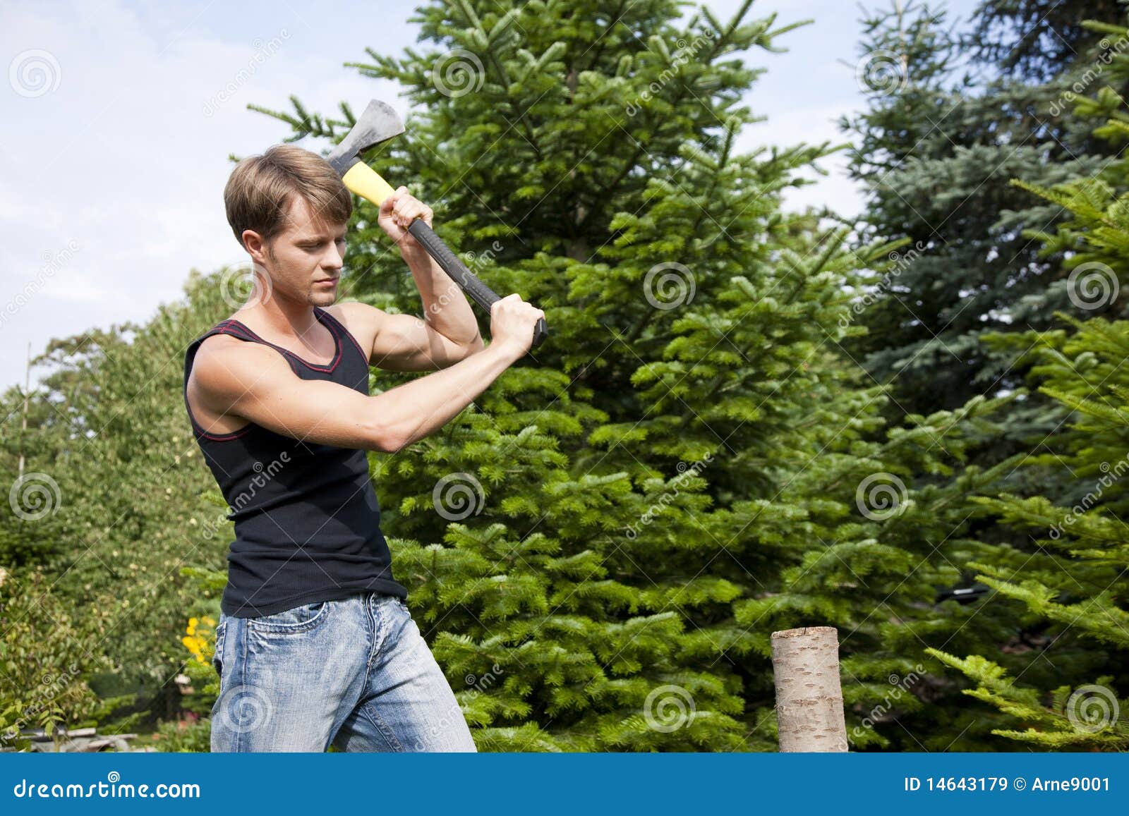 Man Chopping Wood in His Garden Stock Image - Image of outdoors ...