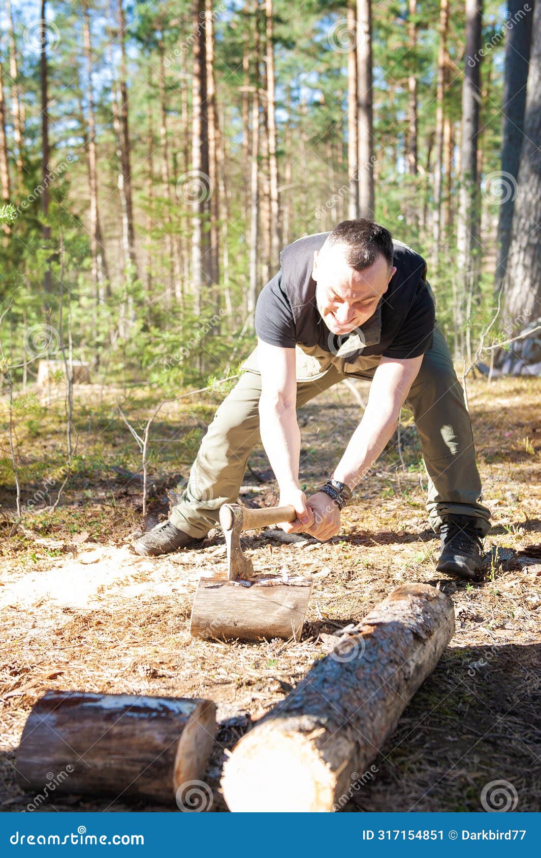 Man Chops Tree in Forest with Sharp Ax Stock Image - Image of cutting ...