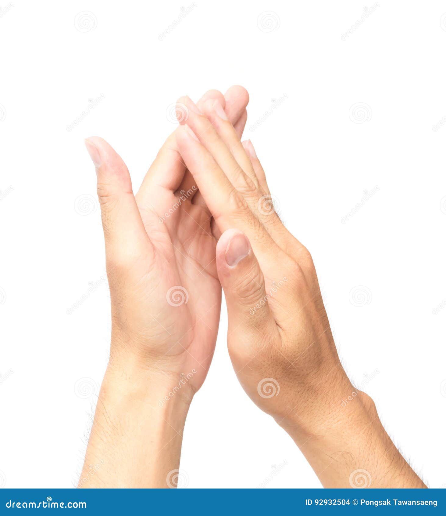 Man Clapping Hands on White Background Stock Photo - Image of education ...