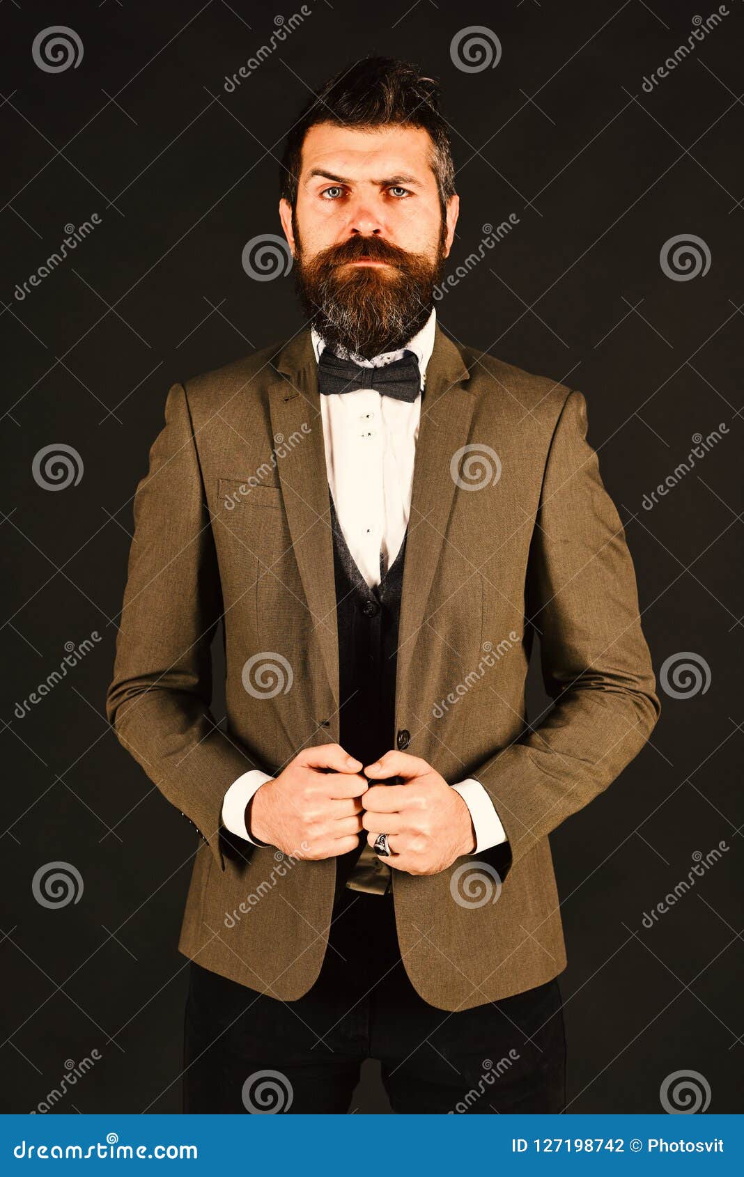 Man in Classic Suit and Bow Tie with Beard Stock Photo - Image of ...