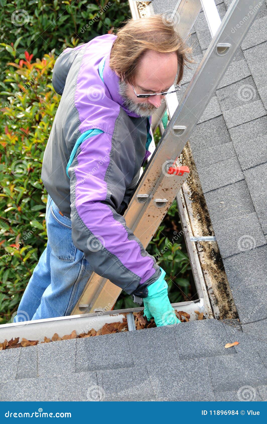 Man cleaning gutters stock photo. Image of shingles, chores - 11896984