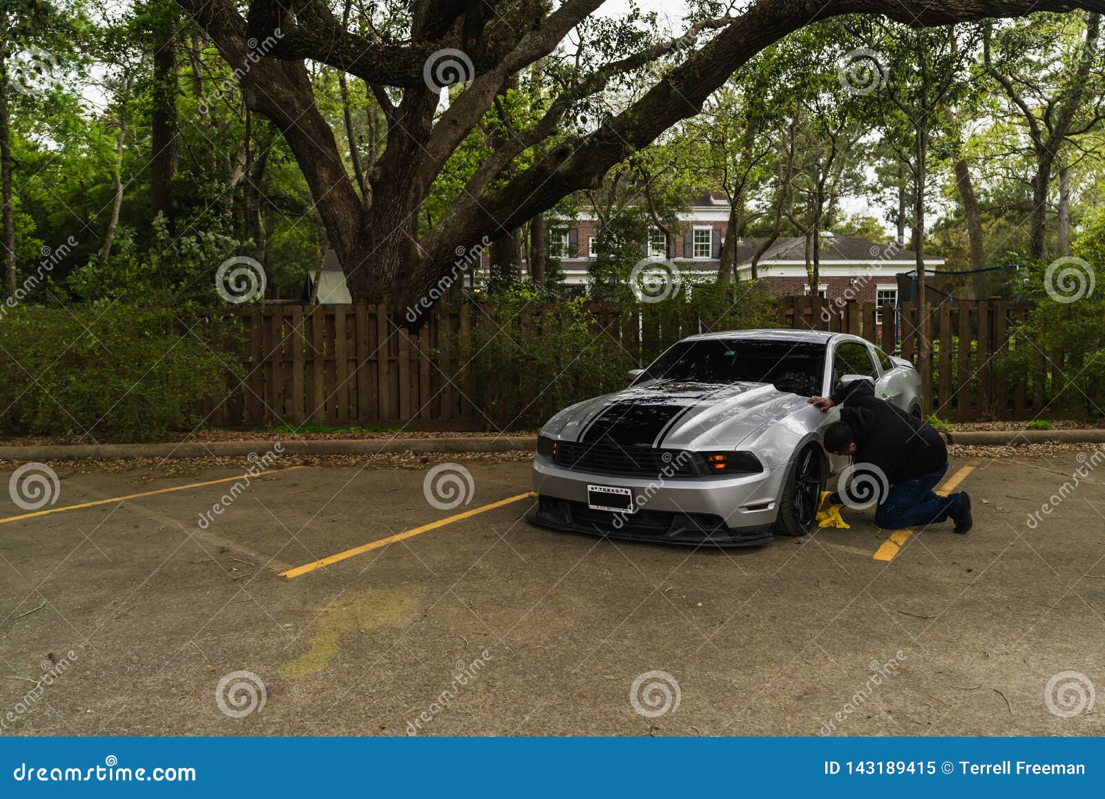 Man Cleaning a Silver Ford Mustang Editorial Image - Image of ...