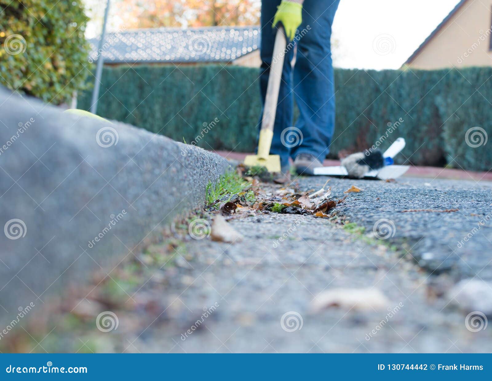 Man is cleaning the gutter stock photo. Image of leaves - 130744442